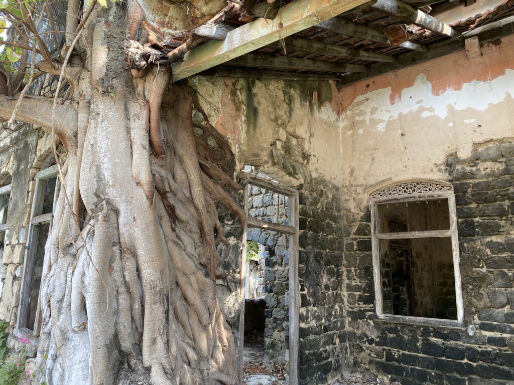 Day 3 – Kayts Island | Marcia Treks Sri Lanka