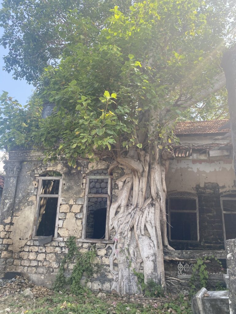 Day 3 – Kayts Island | Marcia Treks Sri Lanka